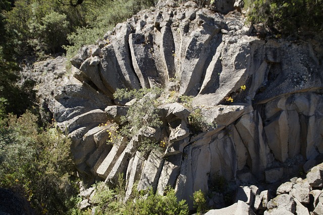 Rosa Parks Writing Prompt: Reflect On Civil Rights Activism ...